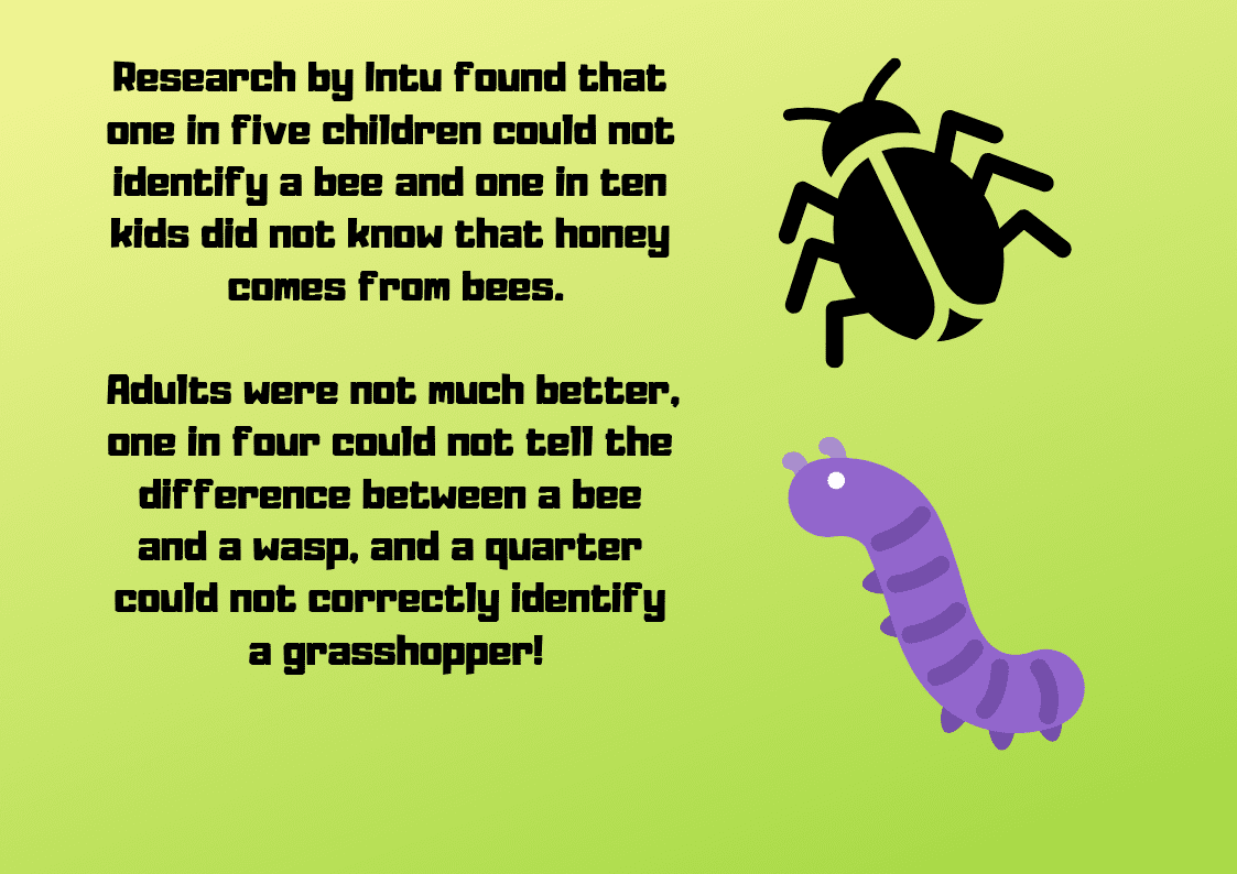 There are GIANT bug statues in Derby's Intu centre - and this is what ...